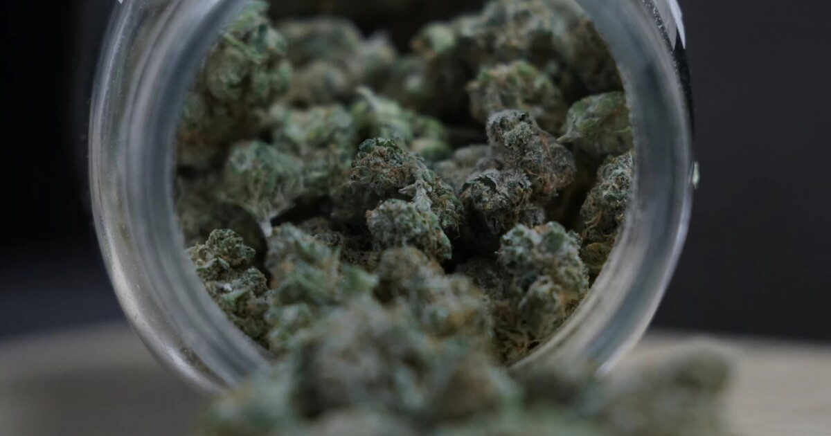 Florida moves forward on accepting applications for medical marijuana ...