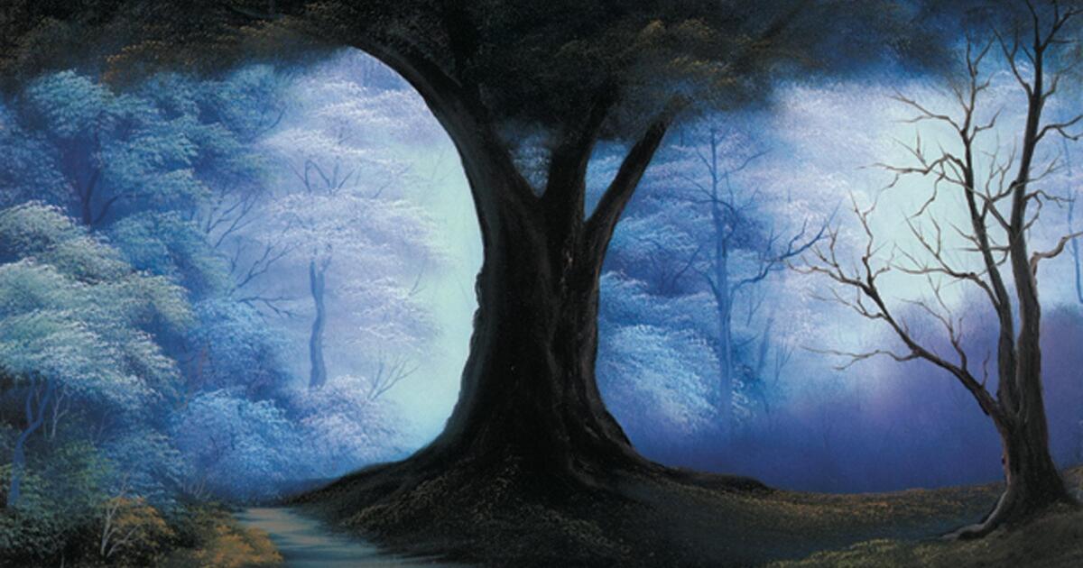 The Old Oak Tree