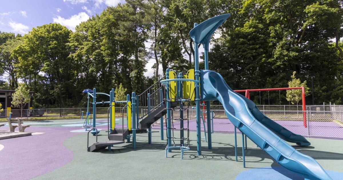 Nonprofit tackles inequities by building playgrounds