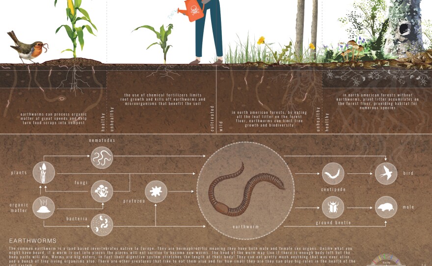 how do earthworms work