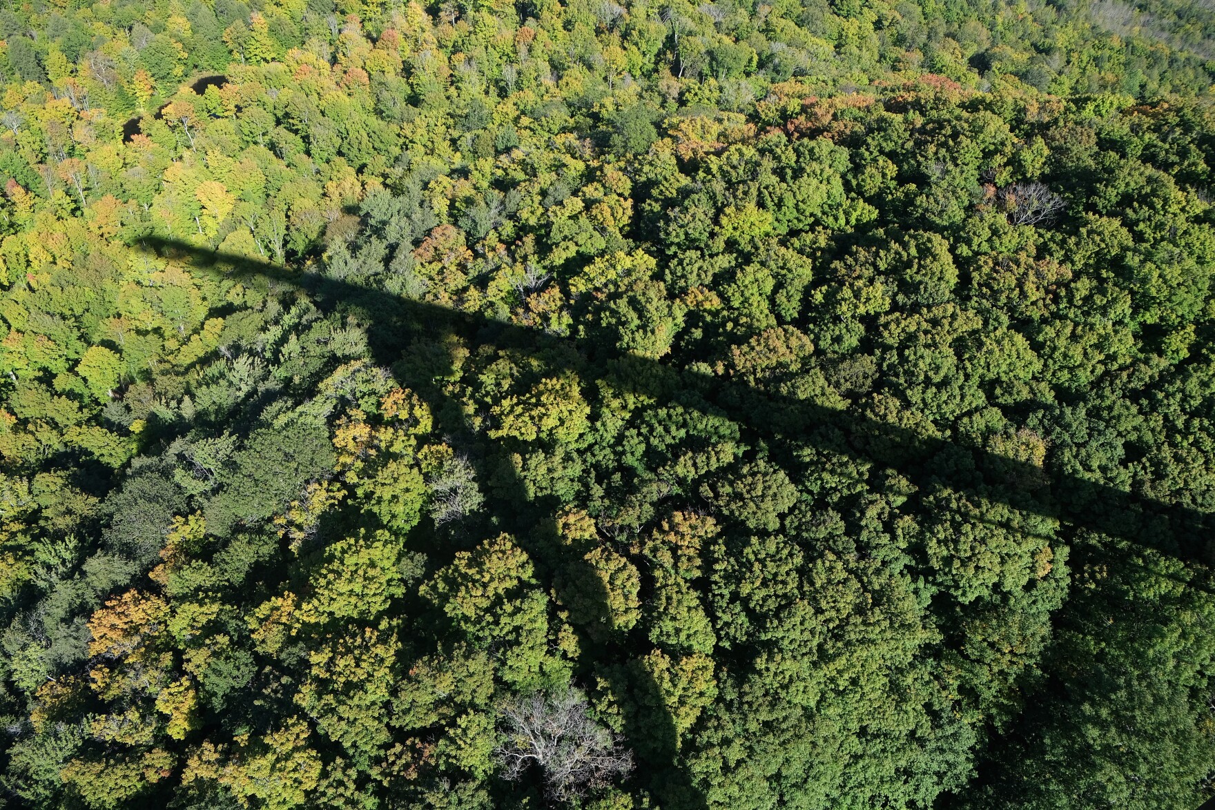 Copper Peak Transformation: What it will take to bring international ...