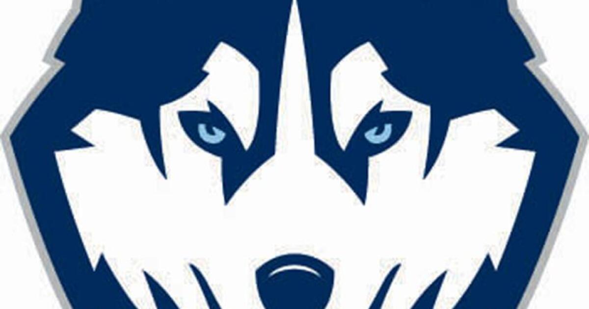 uconn logo vector