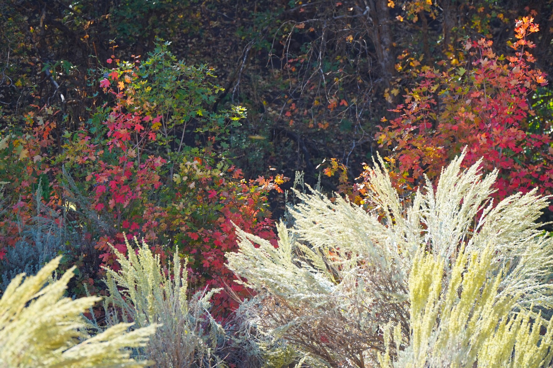 Summit Land Conservancy finalizes conservation easement on 2,800-acre ranch