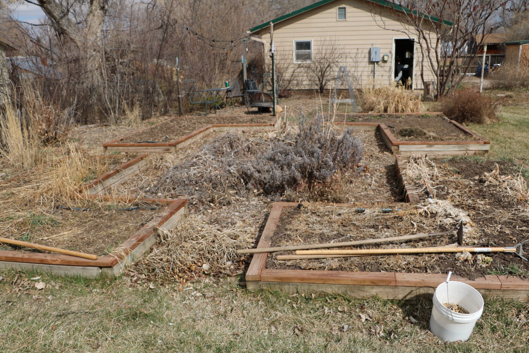 ‘Get your tree a cozy winter sweater’ and other tips to winterize your ...