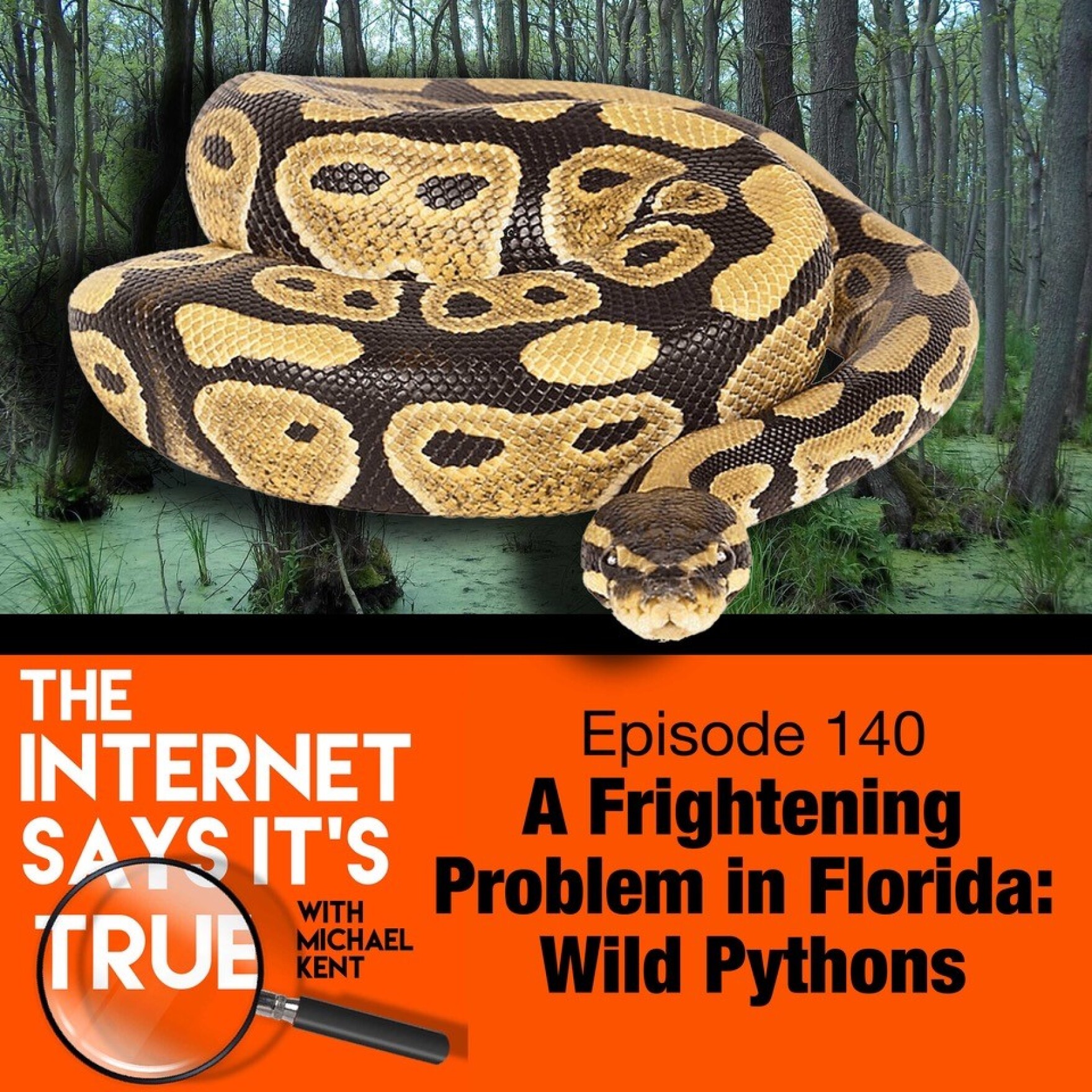 A Frightening Problem in Florida: Wild Pythons