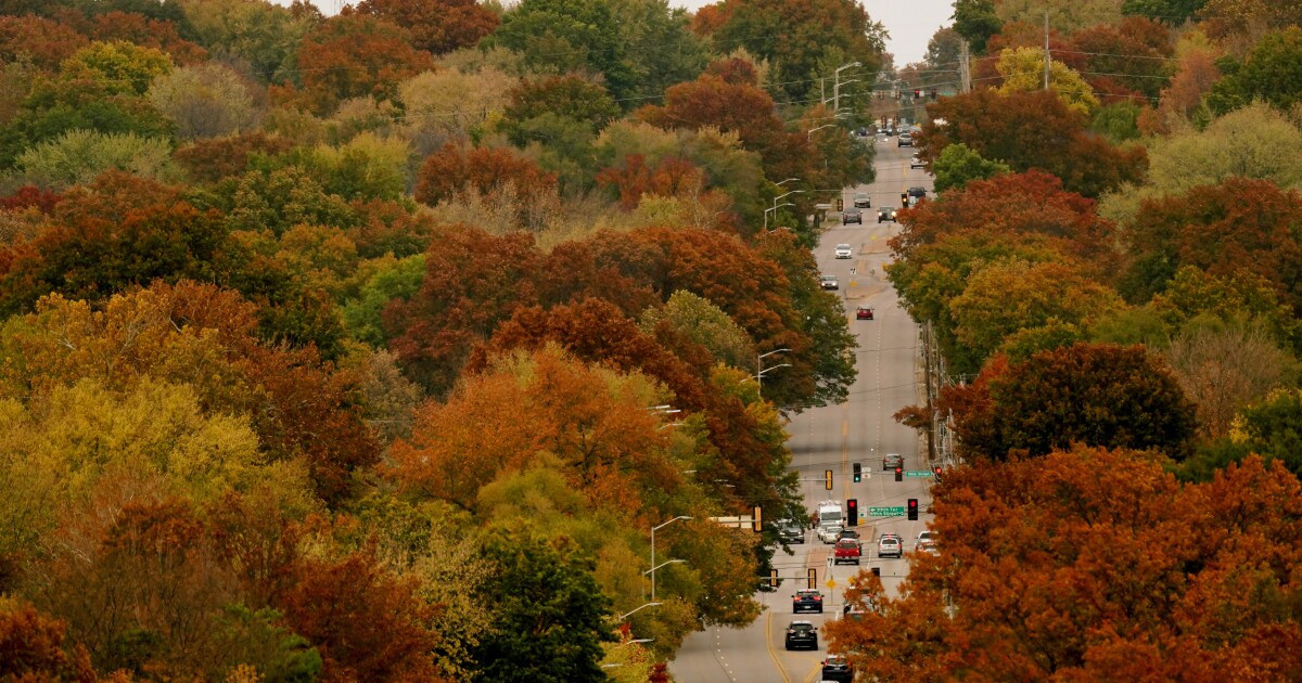 Kansas City's best fall festivals and autumn events in 2025 | KCUR ...
