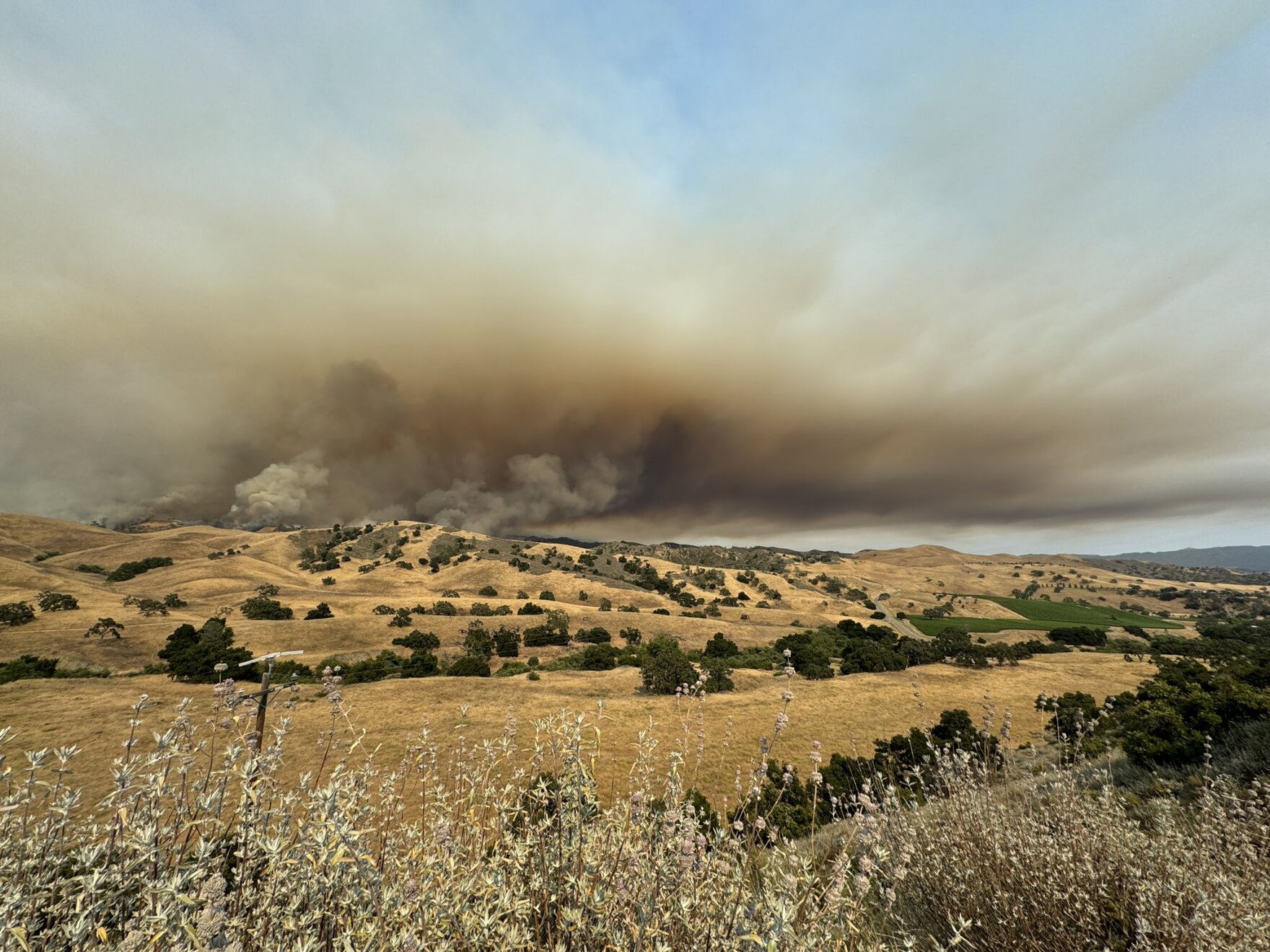 Lake Fire burns thousands of acres in nature reserve, but firefighters ...