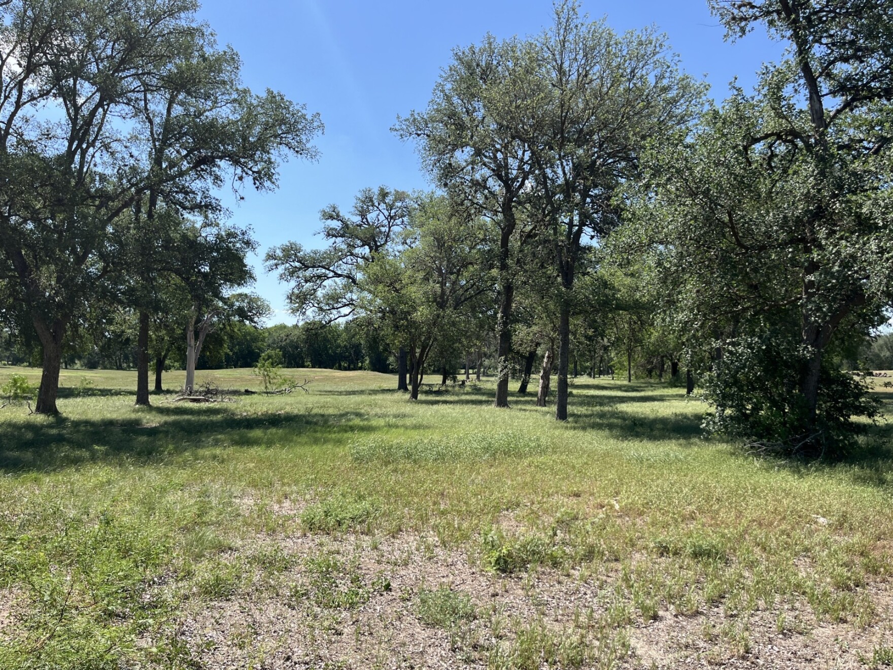 Master plan unveiled for Arboretum San Antonio | TPR