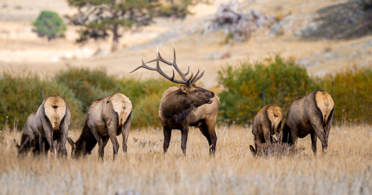Northern Utah wildlife management area nearly doubles in size after ...