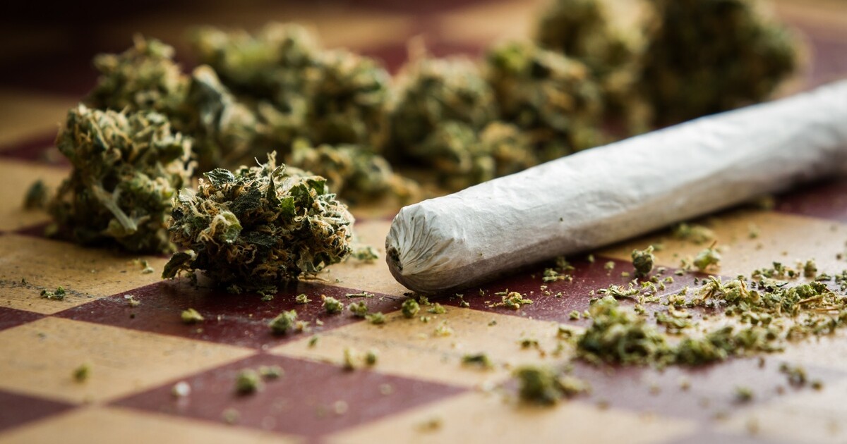 A recreational marijuana ballot initiative is before the Florida ...