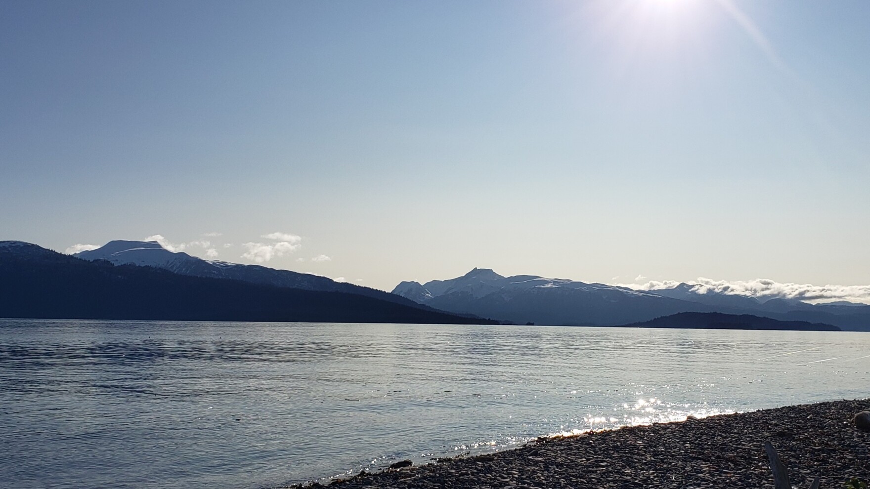 Dungeness crab subsistence fishery opens in Cook Inlet