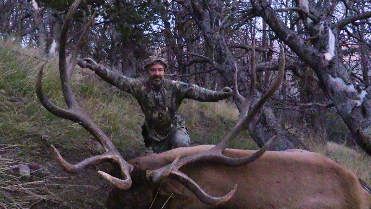 world record elk