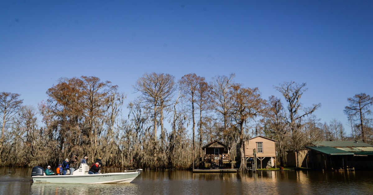 This Louisiana swamp is dying, but a new, unprecedented partnership can ...