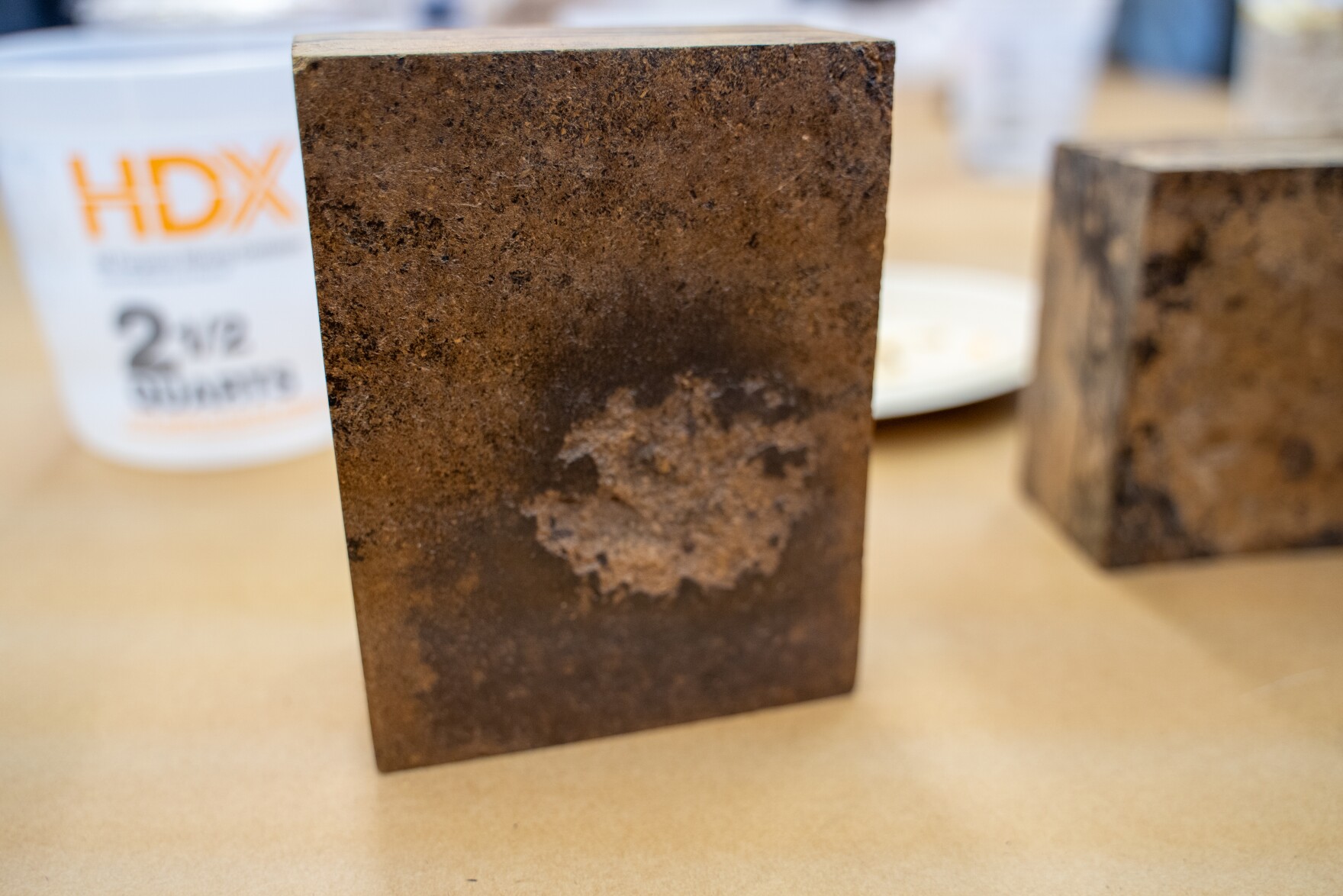 Can 'mycotecture' be the building block for Cleveland's housing needs ...