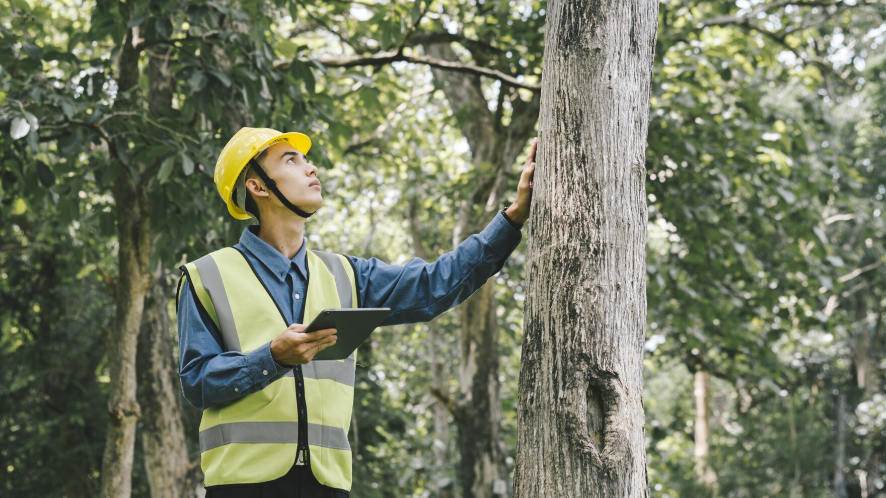 Forest Corps battles wildfire crisis, gets Utah's young people involved ...