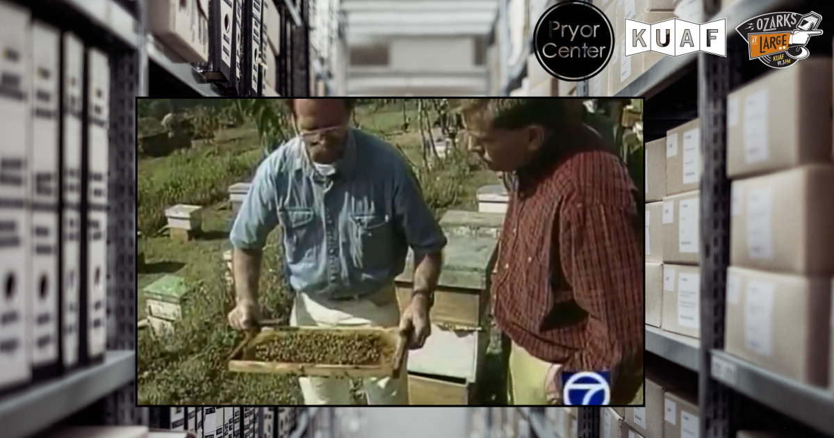 Revisiting the global impact of Winrock International, USAID