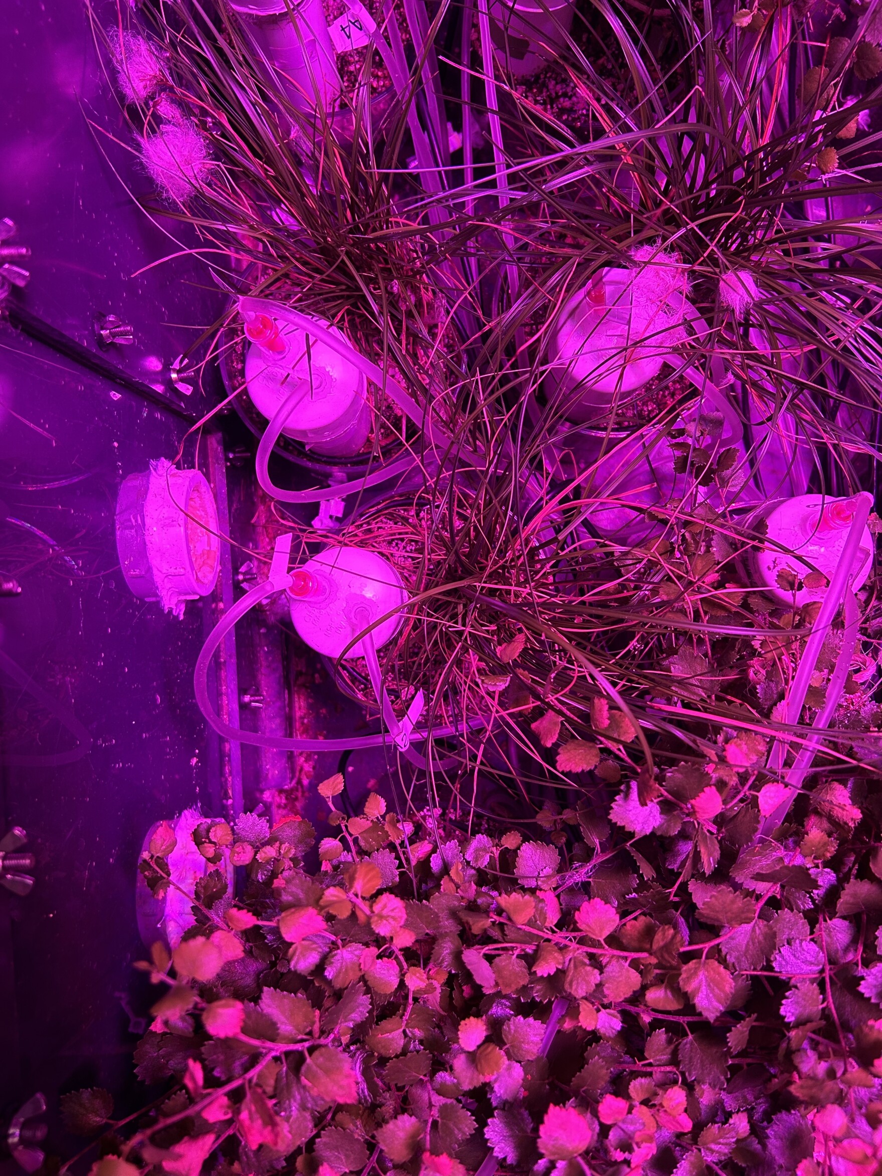 Why researchers in New Hampshire are studying the Arctic | New ...