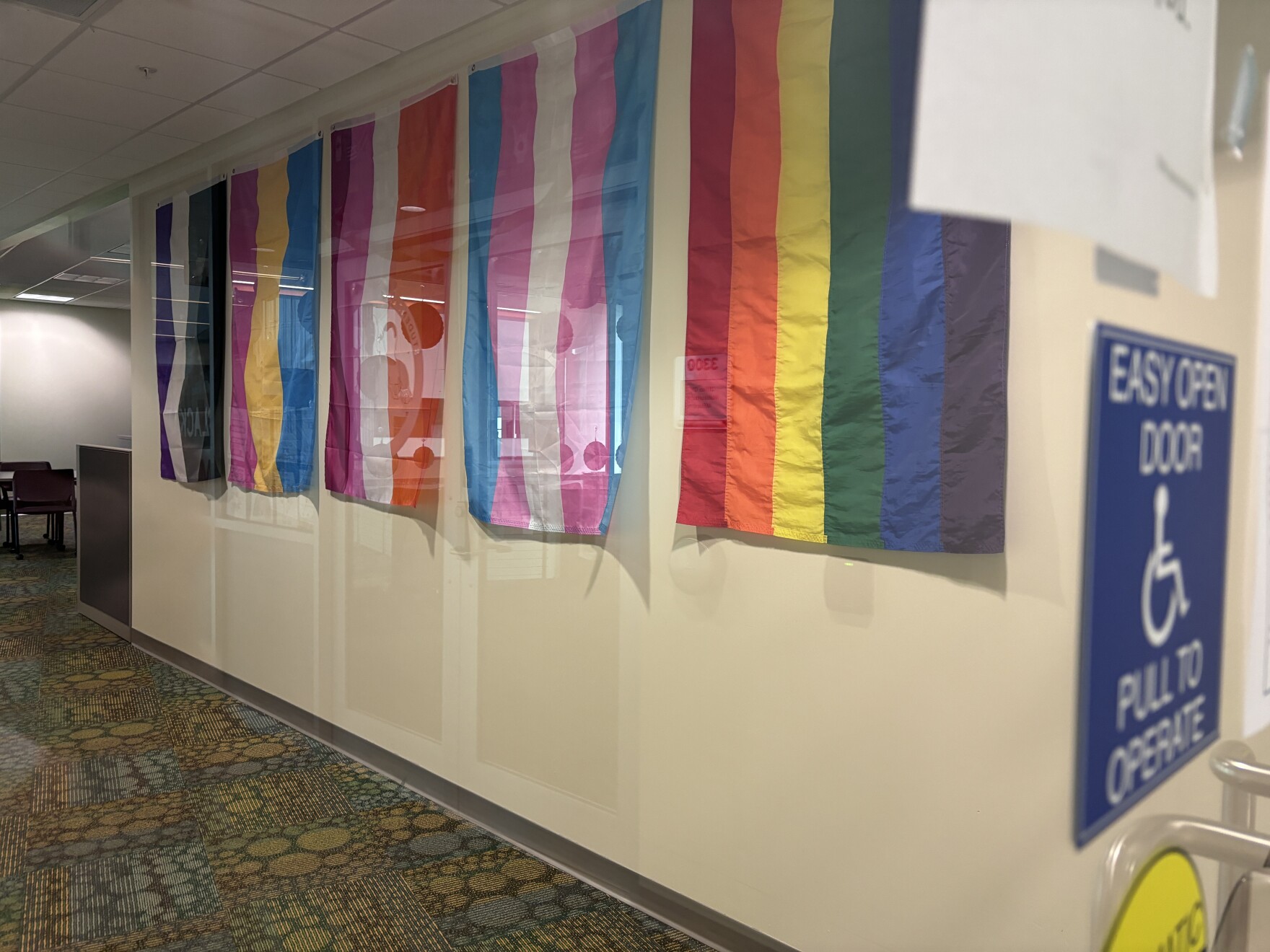 USF St. Petersburg campus removes Pride and Black Lives Matter flags | WUWF