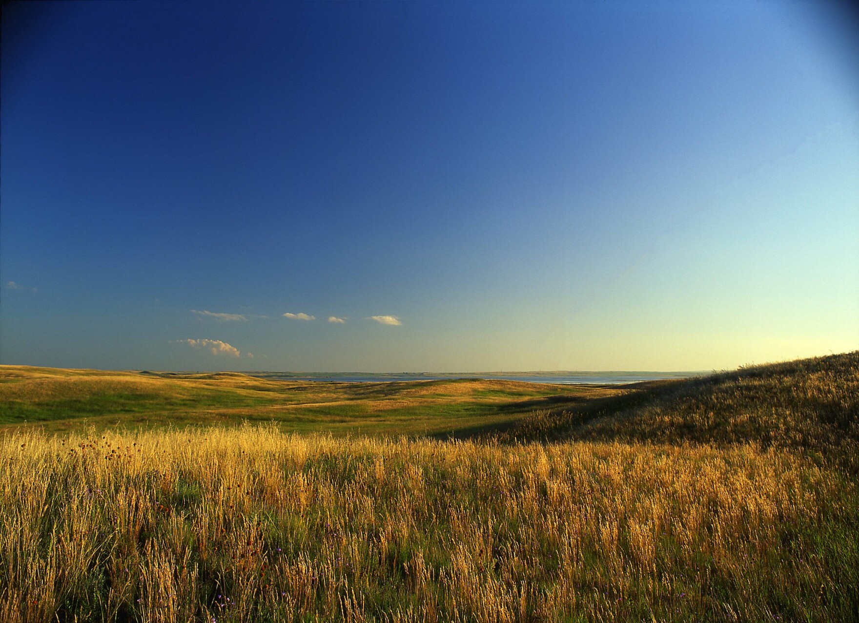 The beauty of North Dakota's prairie landscape | Prairie Public