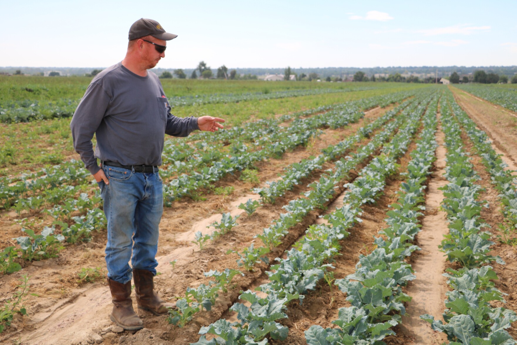 Serving farm fresh food in schools is getting big federal support — but ...