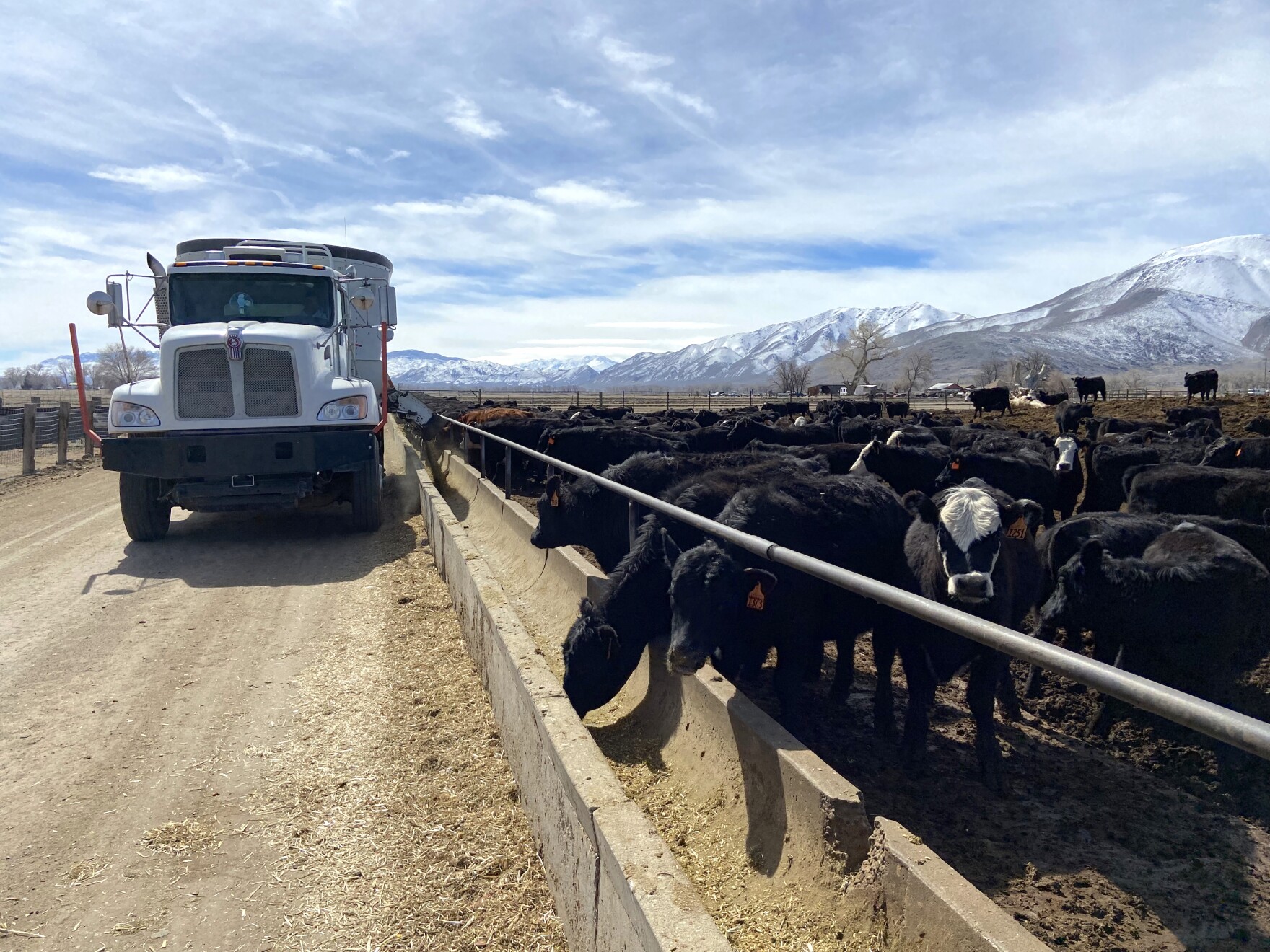Manure runoff is polluting drinking water supplies across the Mountain ...