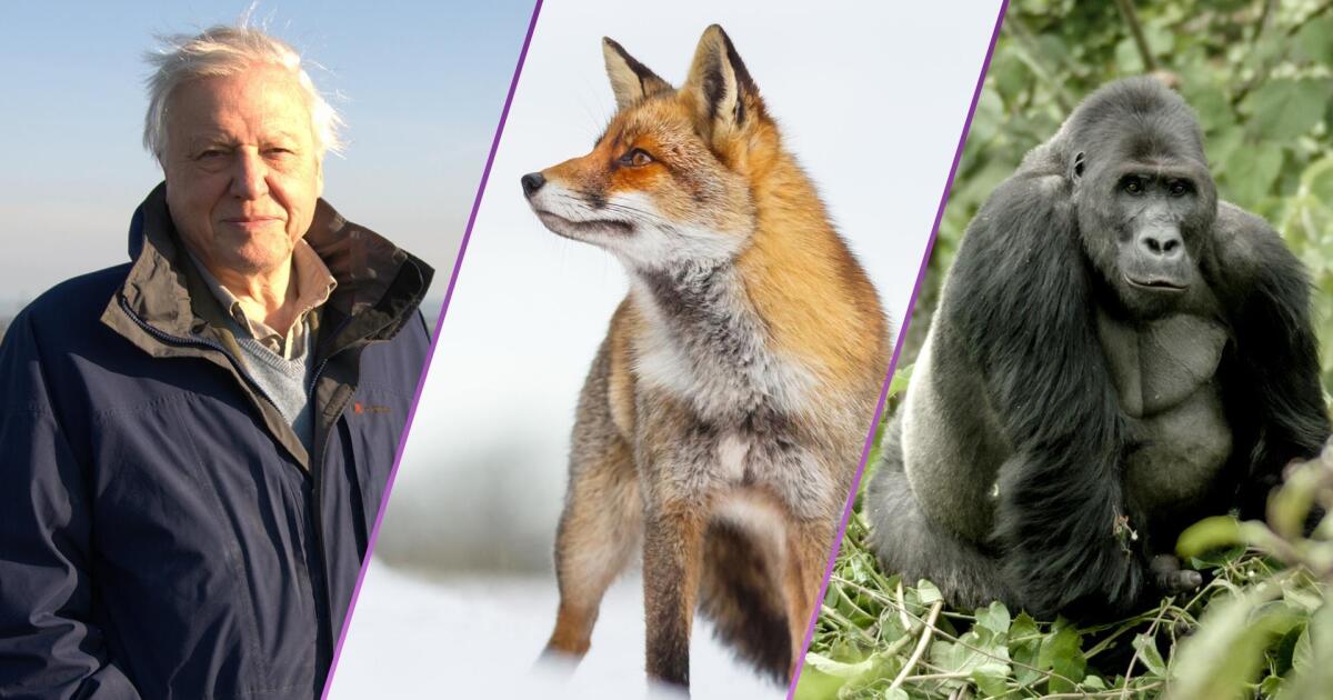 NATURE - Season 43 | Vermont Public