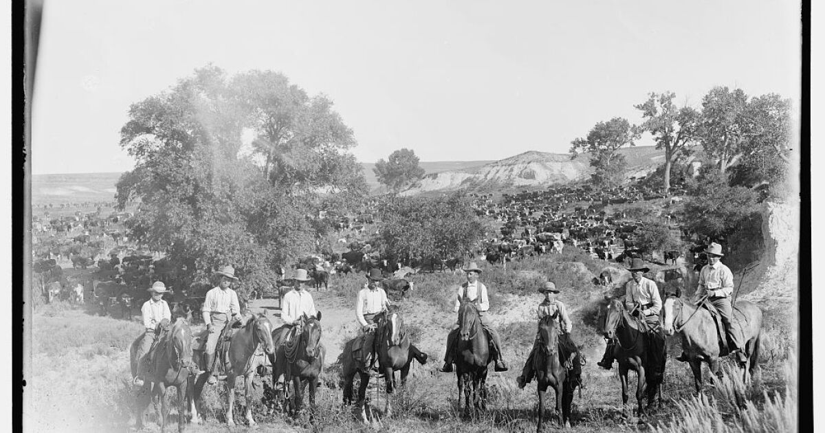 Cowboys and Populists with David Griscom