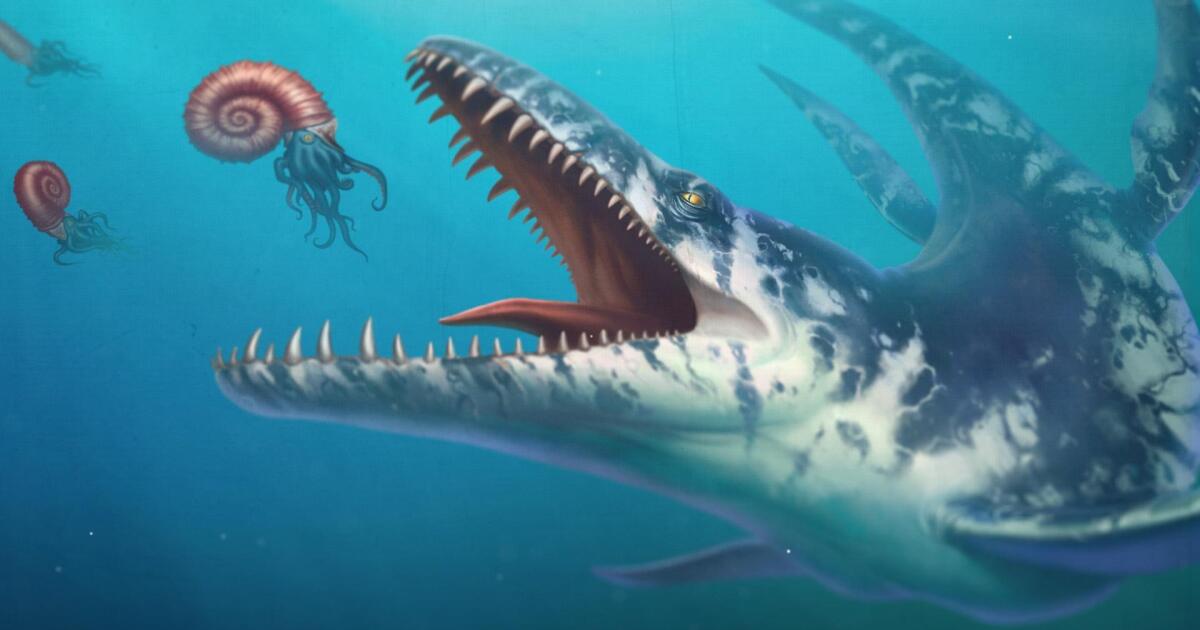 The Sea Monster from the Andes