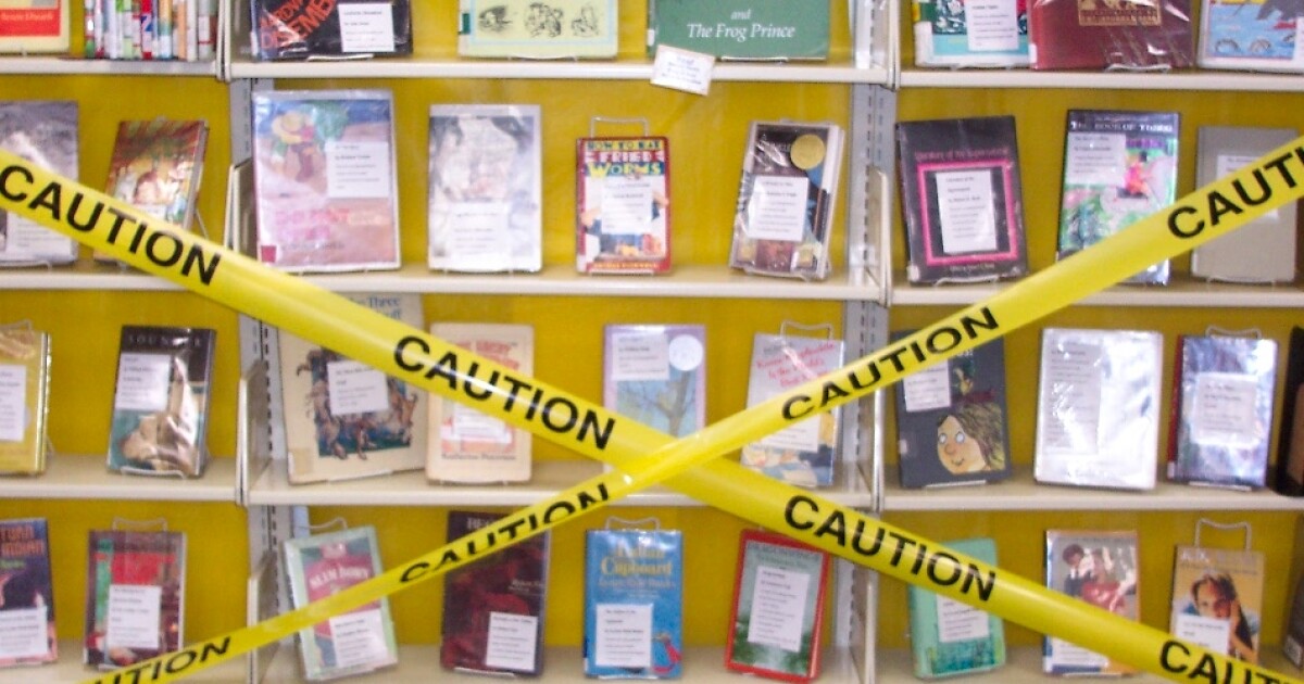 Efforts to ban controversial books continue in Michigan libraries | WXPR