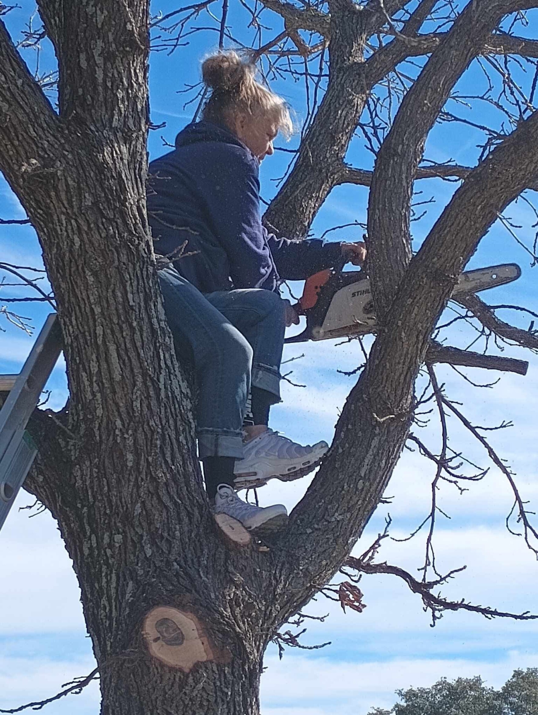 Who were the 'cedar choppers' in present-day West Lake Hills? | KUT ...