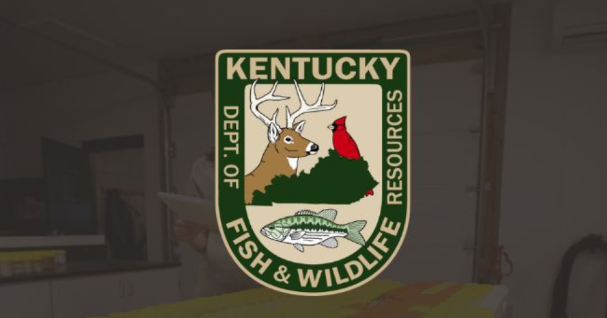 WMKY Midday News (February 25, 2025)