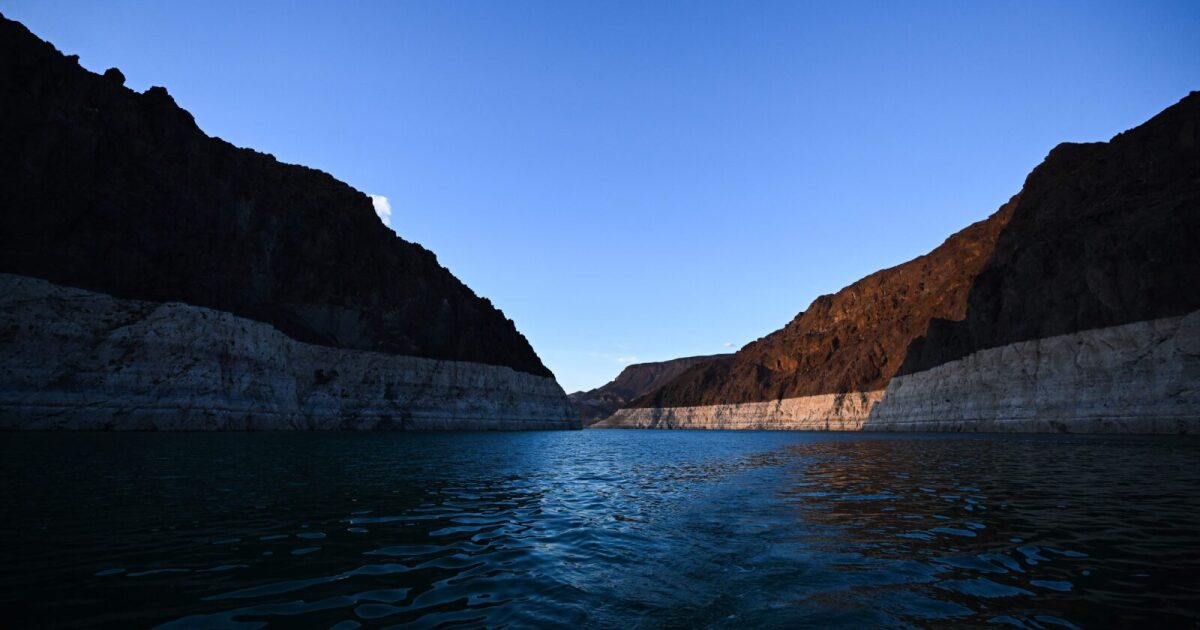 Finding hope among the grim realities of climate change | NPR Illinois