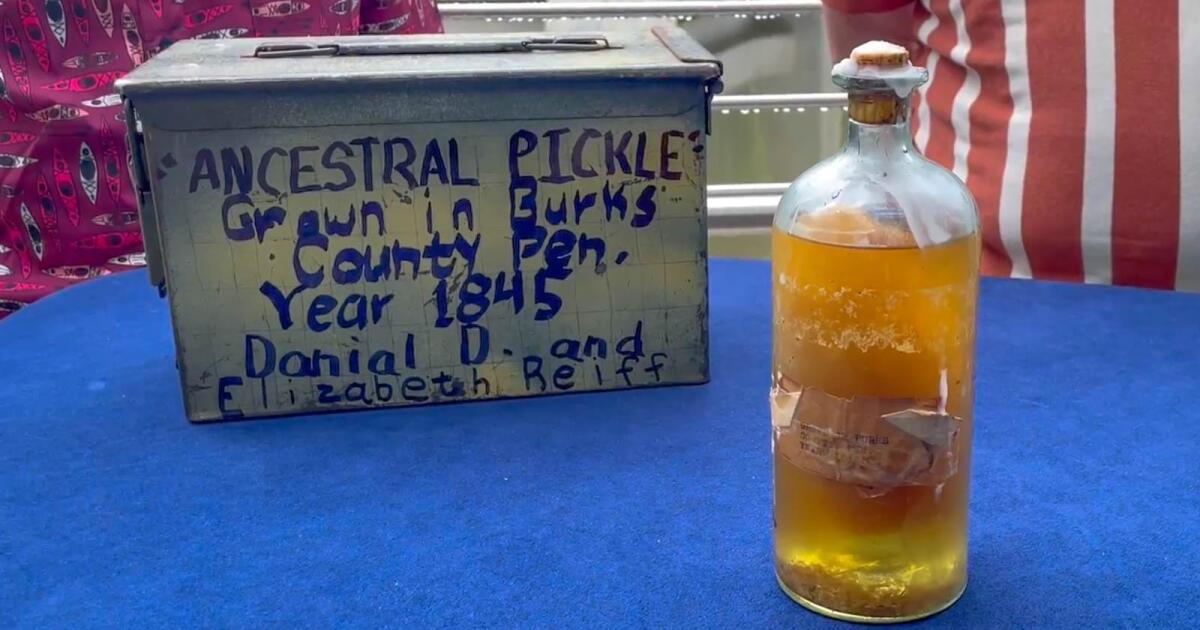 Appraisal: 1845 Ancestral Pickle in Bottle | SDPB