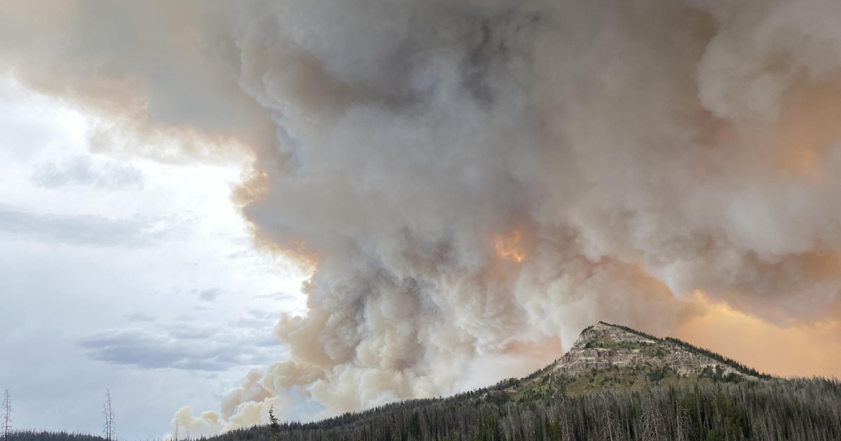 New fire rapidly burning in Bridger Teton National Forest | Wyoming ...