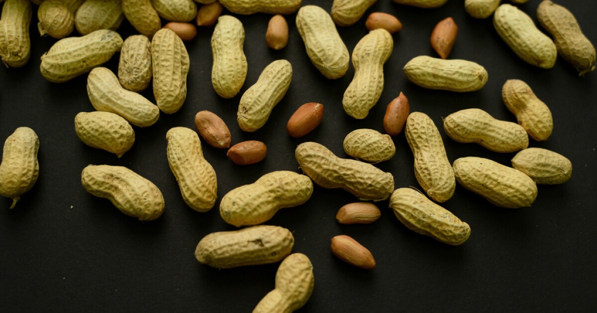 Advice to feed babies peanuts early and often helps thousands of kids ...