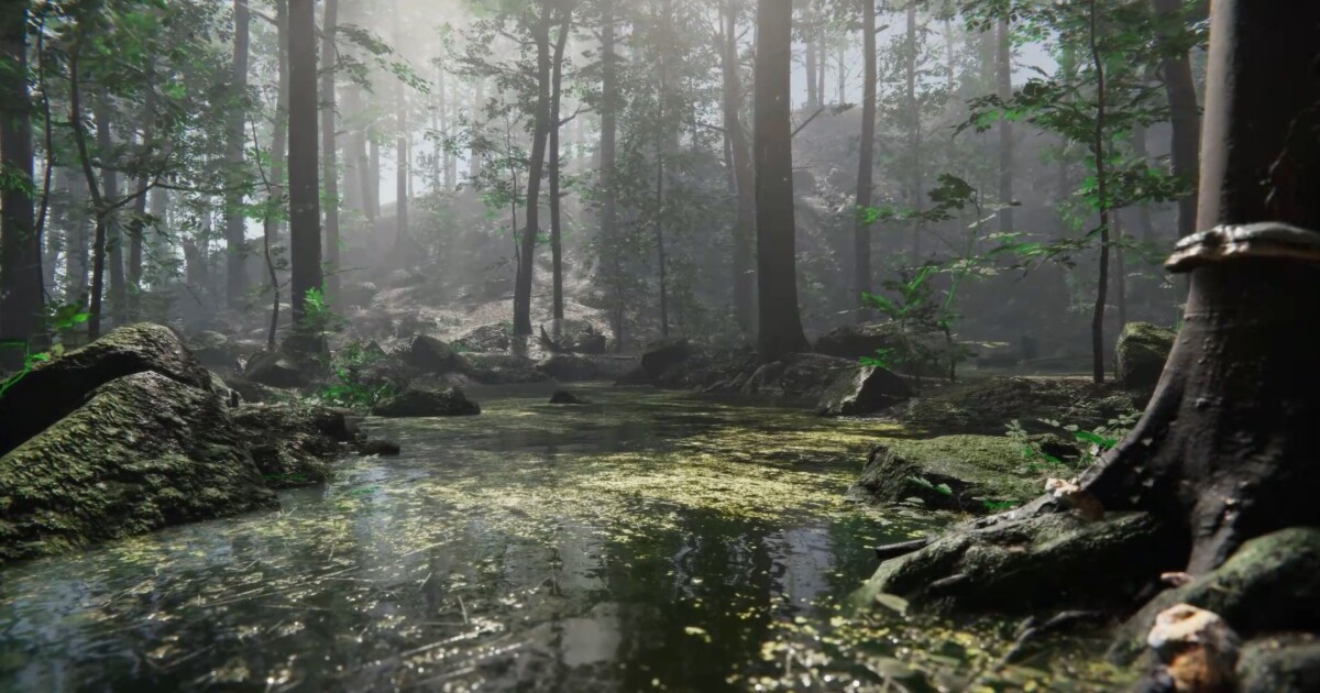SUNY ESF Professor's virtual forest could inspire future stewards | WAER