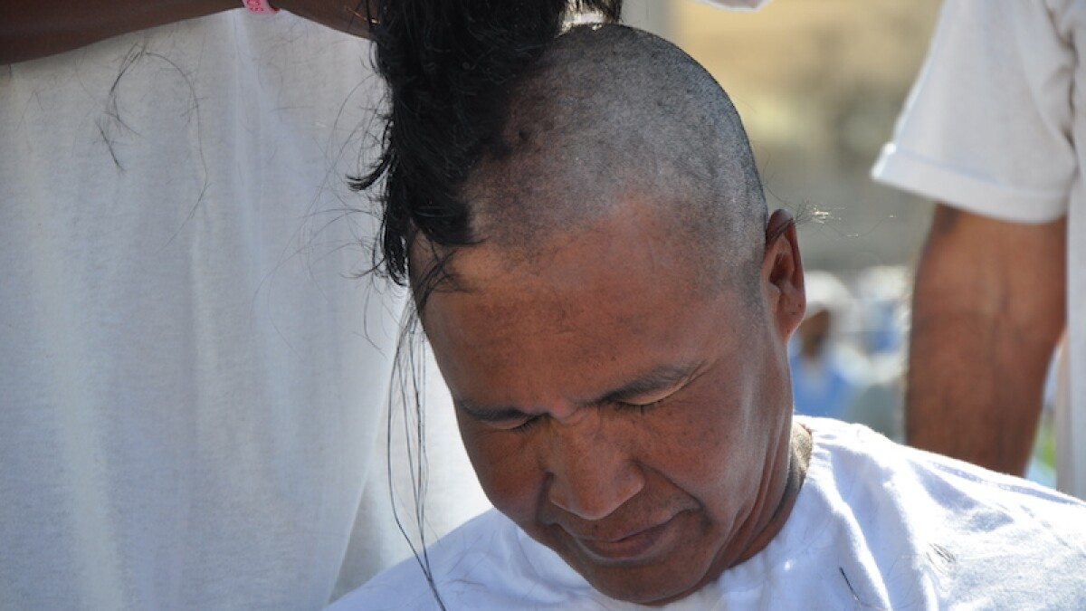 native american beardless