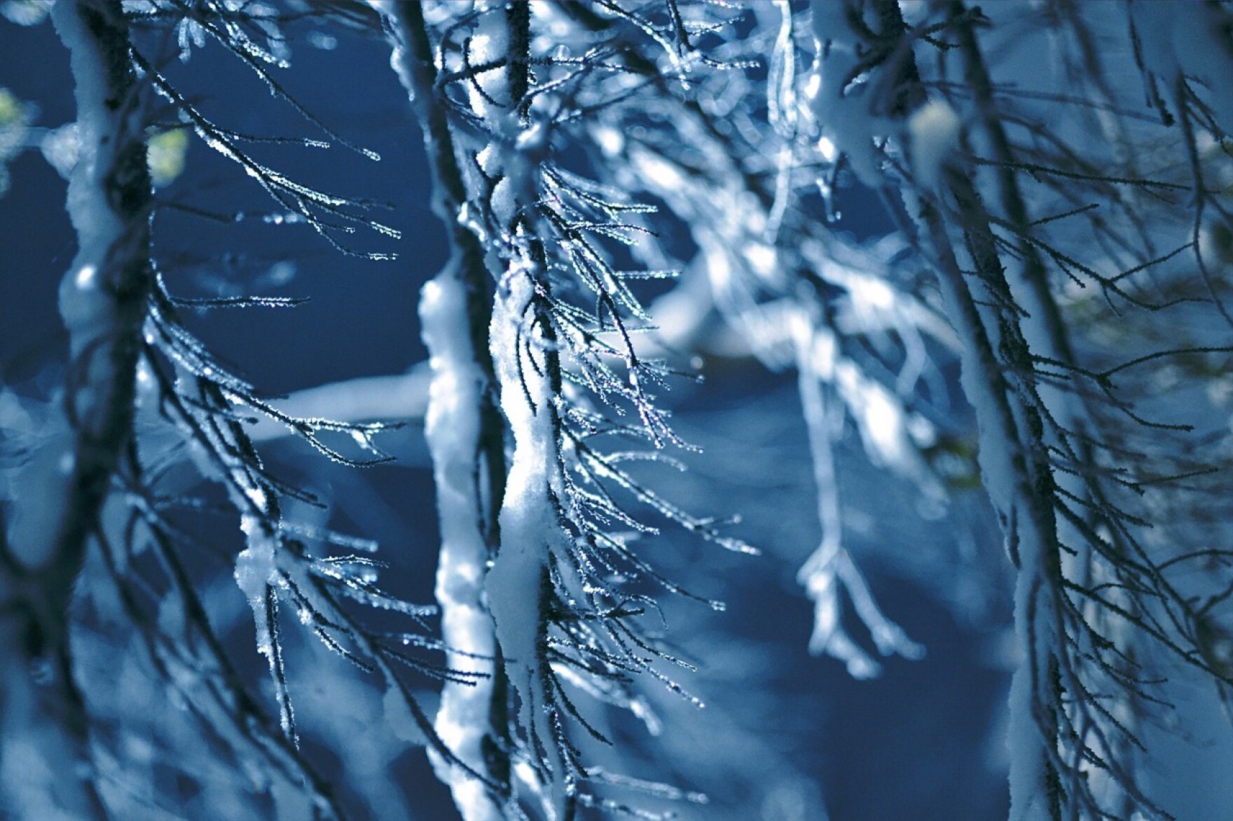 The science behind precipitation: Types of precipitation and how they form