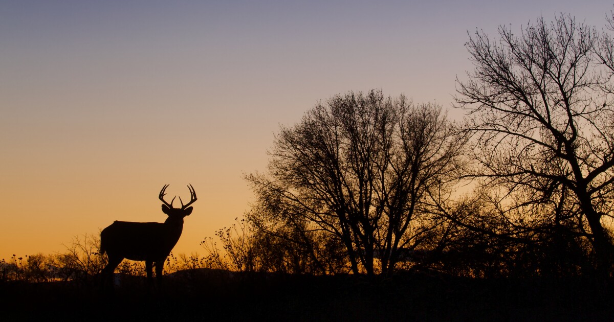 Michigan is part of multi-state effort to track chronic wasting disease