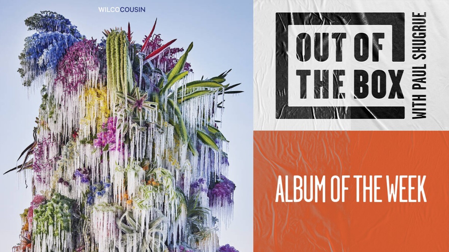 Out of the Box Album of the Week--Wilco--Cousin