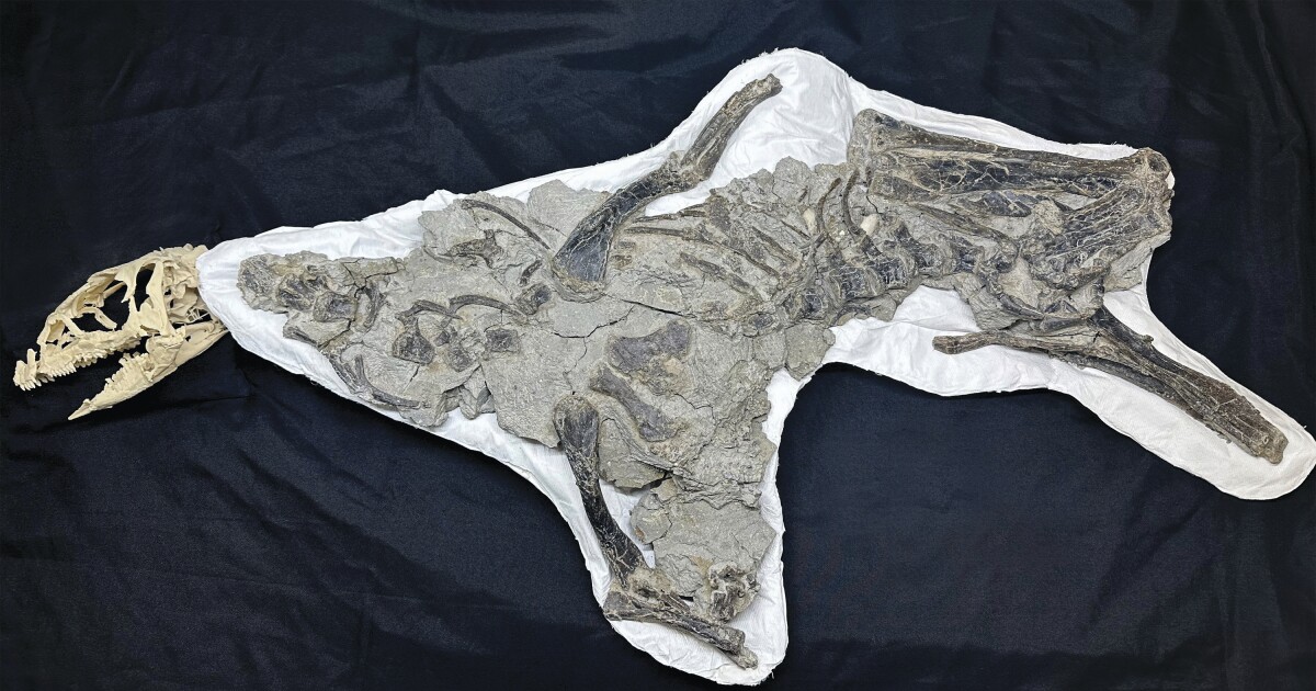 North Carolina paleontologists have identified a unique new species of ...