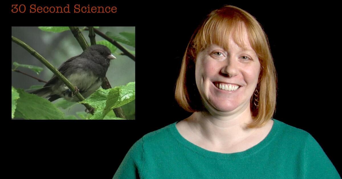 30 Second Science: Danielle Whittaker