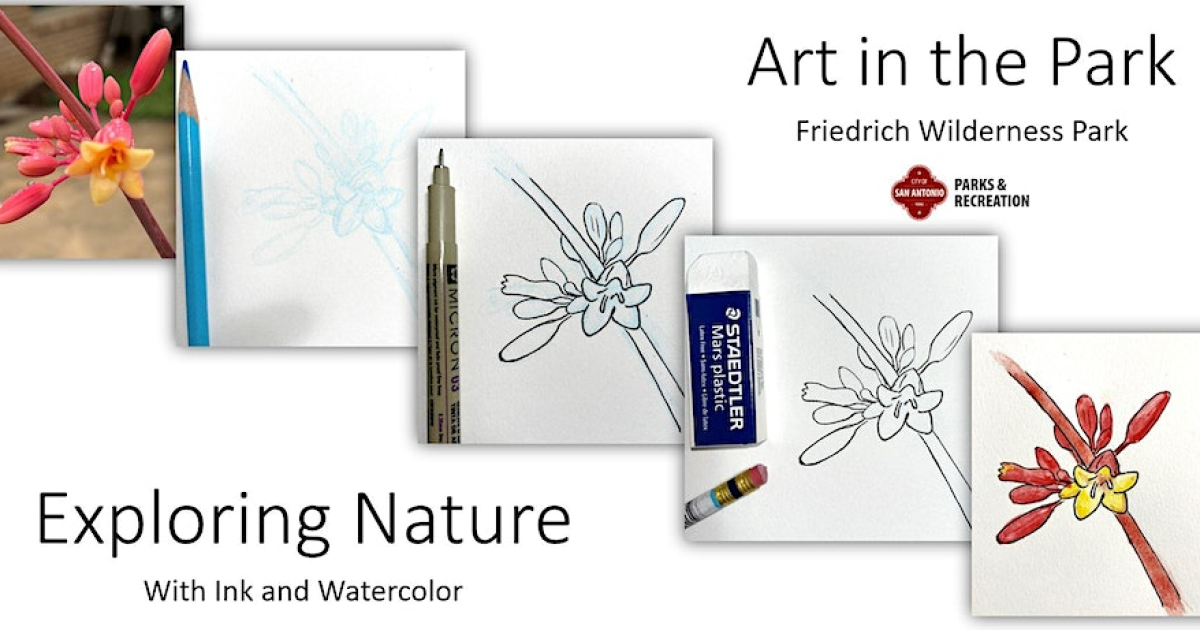 Art in the Park: Explore Nature with Ink and Watercolor | TPR