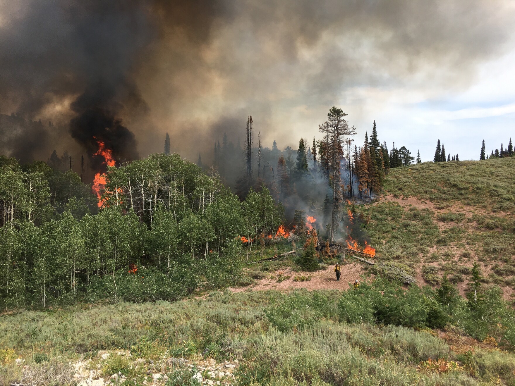 Forest Service chief calls for fires to be extinguished ASAP. Fire ...