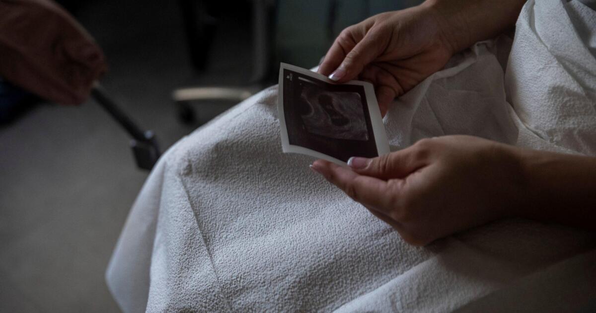 August 25, 2024 - PBS News Weekend full episode | Connecticut Public