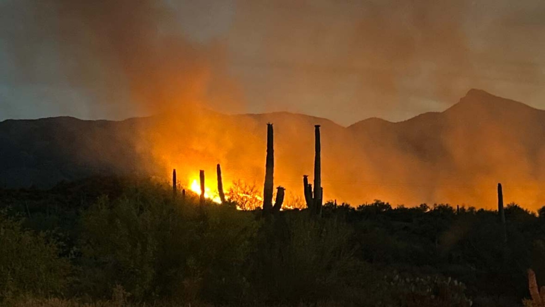 Water Fire: The latest on the Arizona wildfire near St. Johns