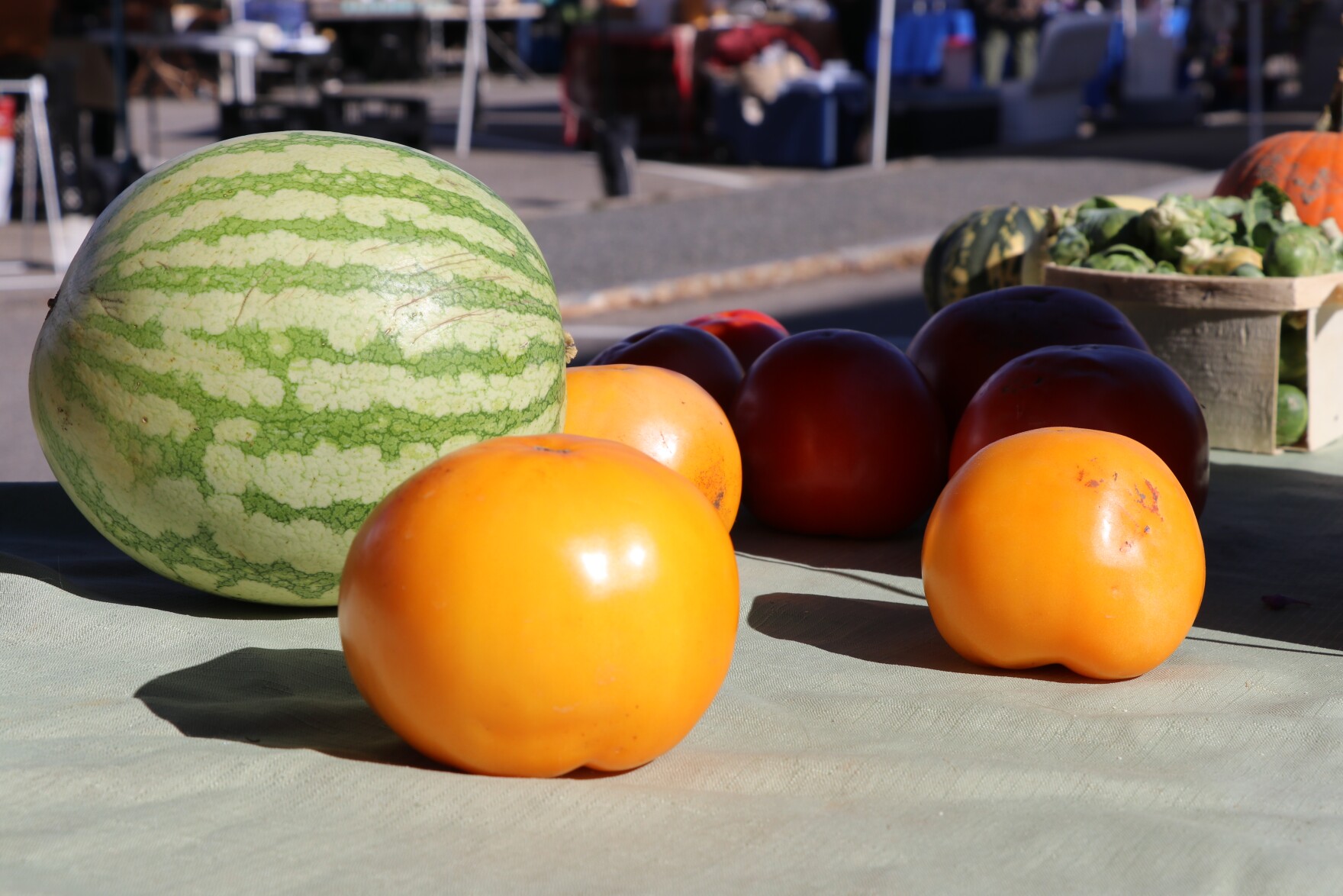 New USDA plant hardiness zones come as no surprise to many Granite ...