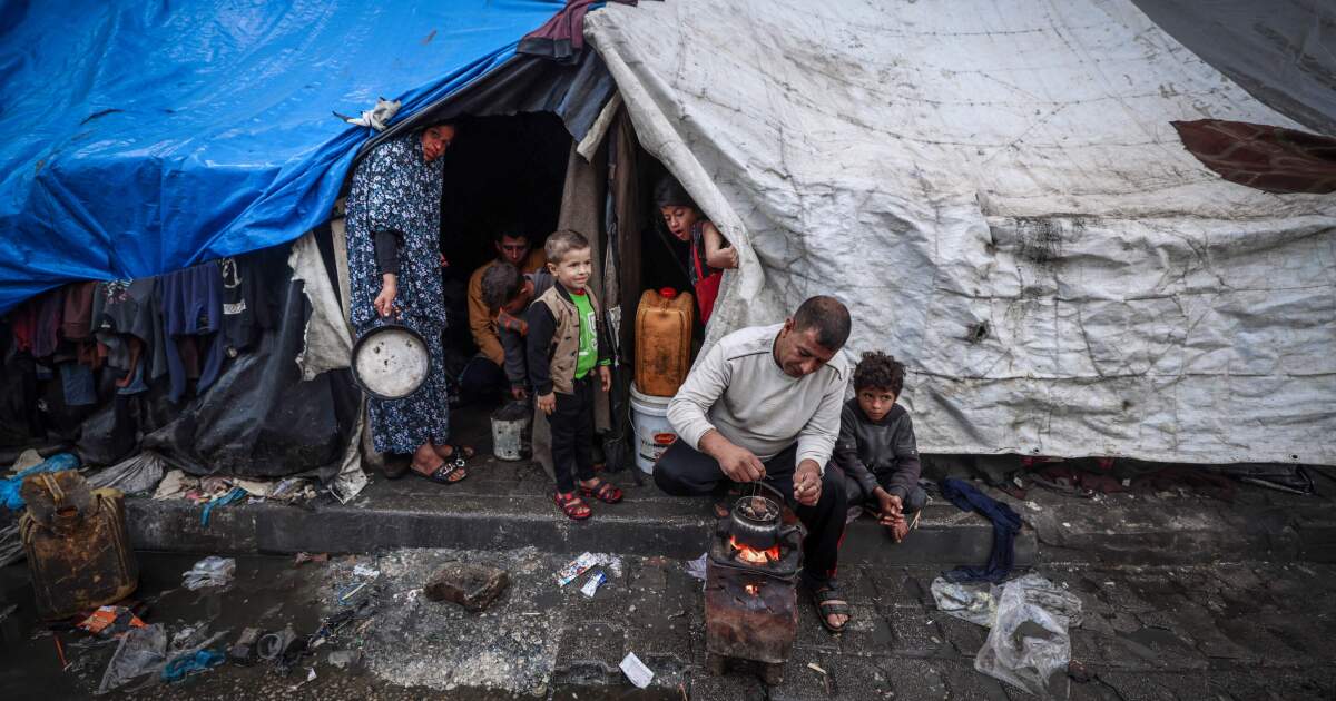 What daily life looks like in Rafah, through the eyes of a local poet ...