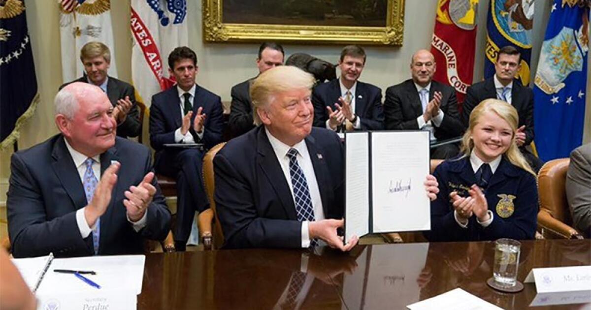 Donald Trump's first 100 days