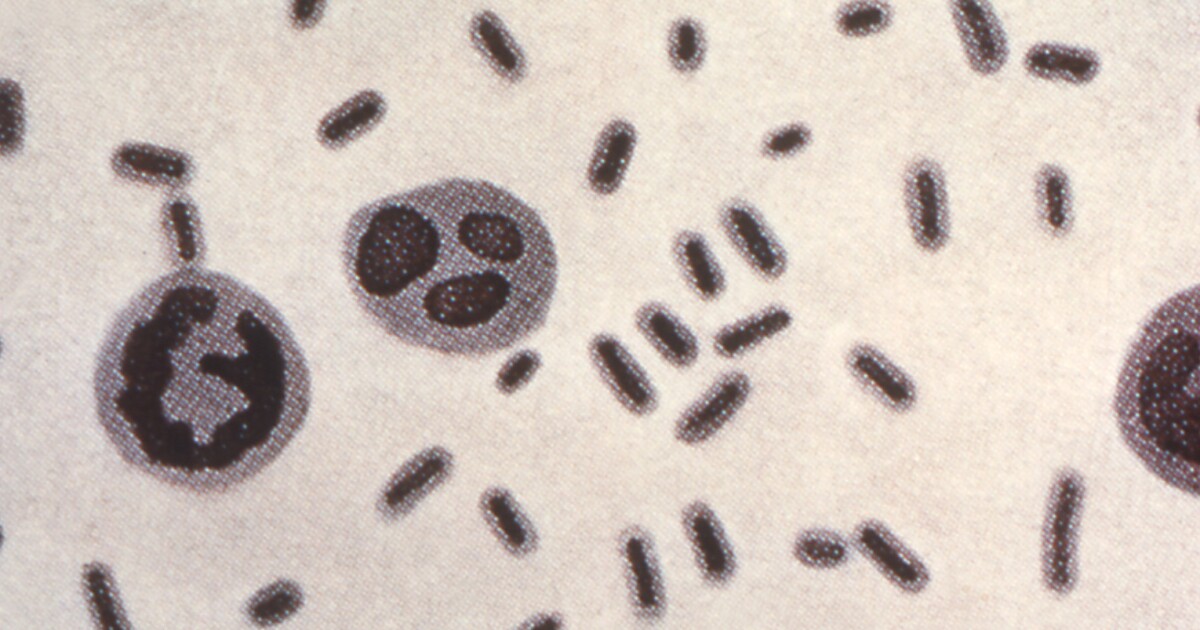 A Superbug That Resisted 26 Antibiotics | WKAR Public Media